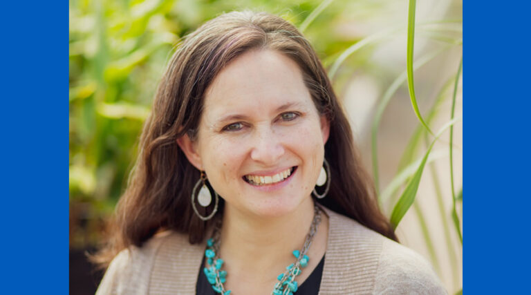 Social Work Research on Global Environmental Change: Past, Present, and ...